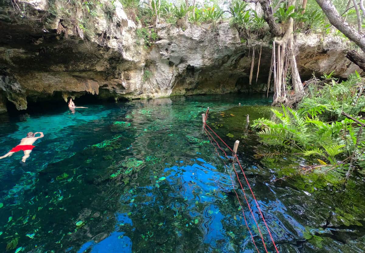 Gran Cenote Tulum – Descubre esta maravilla natural - Info Quintana Roo Gran Cenote Tulum – Descubre esta maravilla natural - Info Quintana Roo
